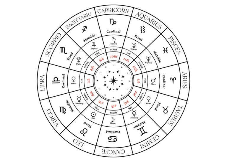 Understanding the Zodiac Wheel and Signs - Revellia