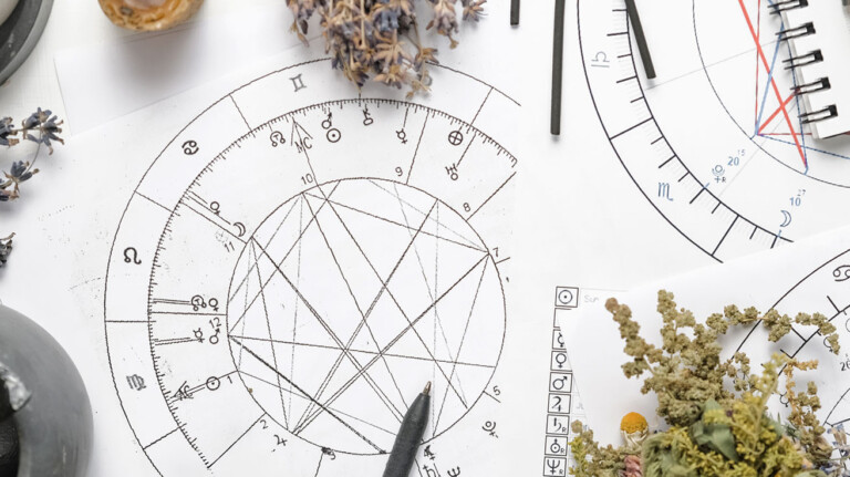 Understanding the Zodiac Wheel and Signs - Revellia